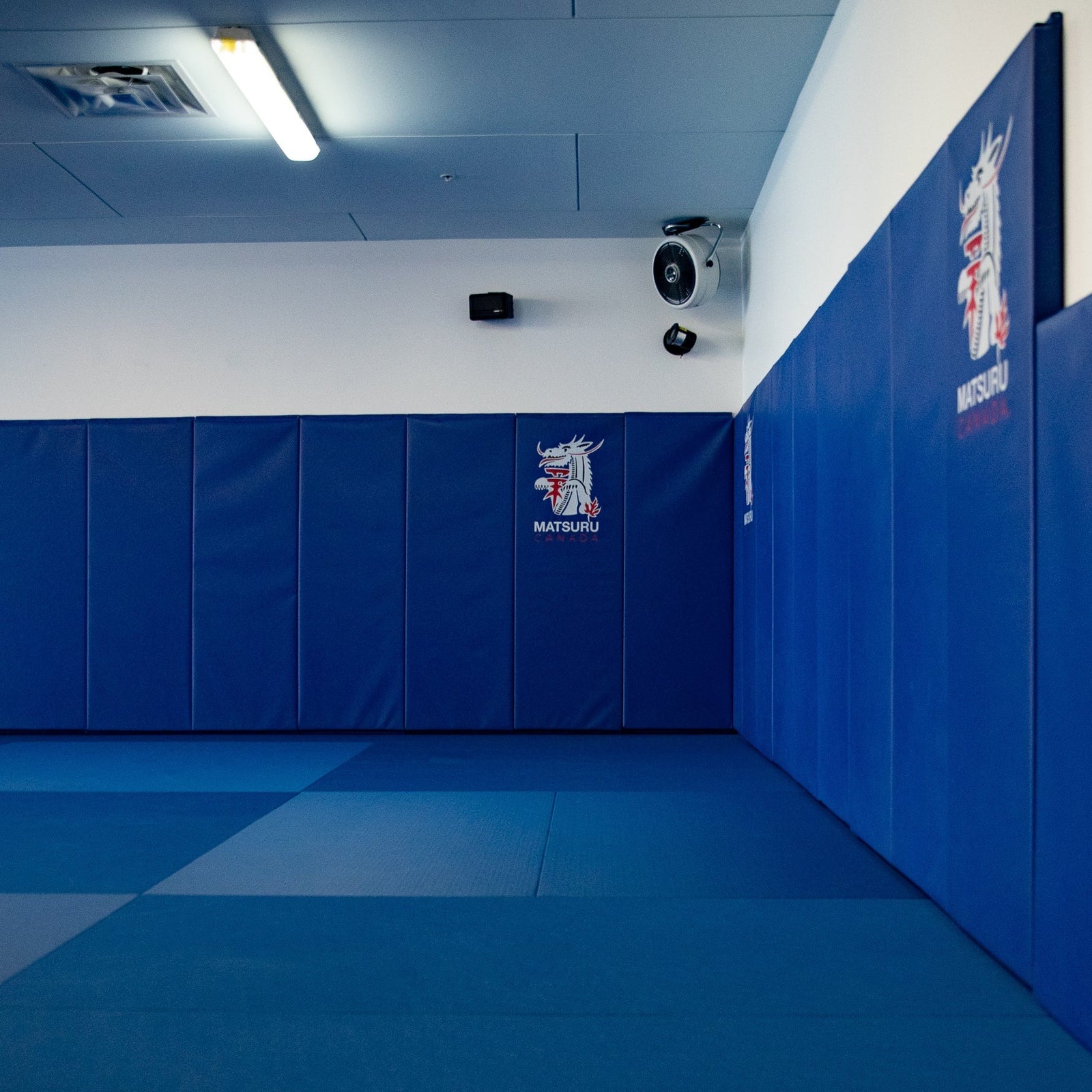 Wall Mats Canada — Martial Arts Gym Wall Padding | Matsuru